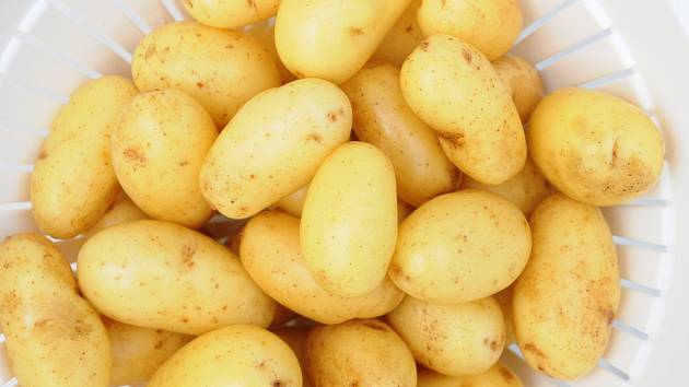 Podle čeho poznat kvalitní brambory a jak se liší jednotlivé varné typy ...