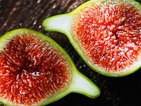 Fíky jak je neznáte – zahradni tipy