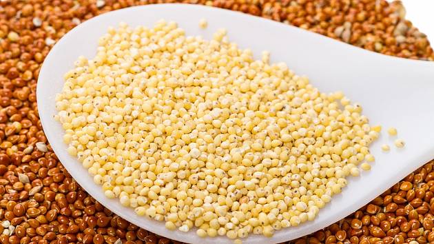 Jáhly: jsou zdravé a vynikající. Naučte se je správně připravit ...