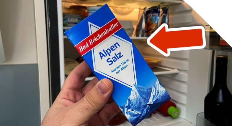 POR ESTO TODOS DEBEN poner sal en su nevera 💥 (truco GENIAL) 🤯 – zahradni tipy